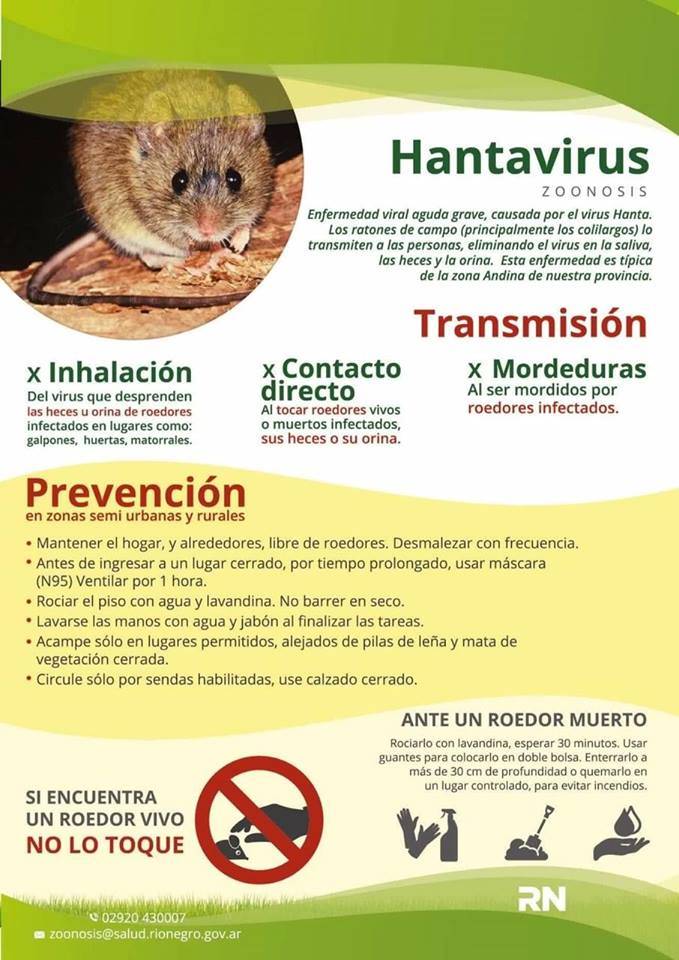 Hantavirus Luego De 9 Víctimas Fatales En El Sur Bromatología